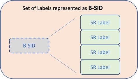 Label Stack Optimization With Binding Sid Ccie 49534