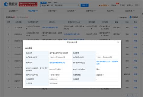 恒大地产所持6亿股权被冻结 恒大地产被冻结6亿股权 Donews快讯