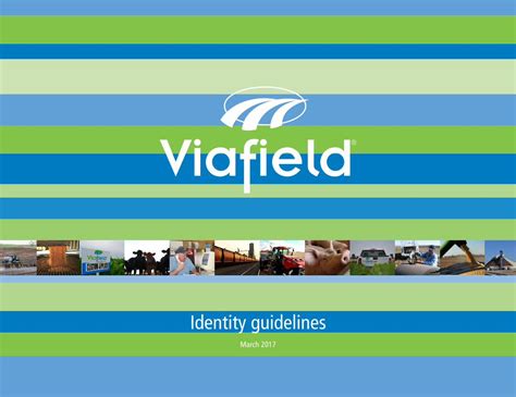 Pdf Identity Guidelines Amazon S3 · Color The Identifier Only
