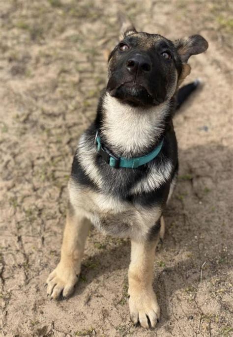 Oc The Face She Makes When You Tell Her Its Time To Go Inside R Aww