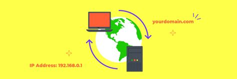 Why Dns Check Is Important And How To Do It Crazy Domains Learn