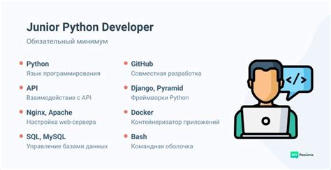 Как стать Python разработчиком Гайд Большая подборка курсов Визуализация данных Резюме