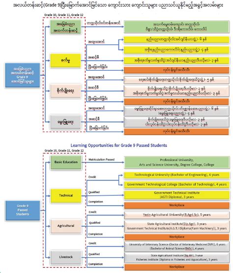 အလယ်တန်းဆင့် Grade 9 ပြီးမြောက်အောင်မြင်သော ကျောင်းသားကျောင်းသူများ