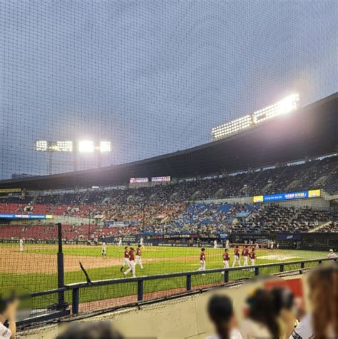 잠실 야구장 3루 레드석 117블럭 118블럭 좌석 후기 시야 응원 먹거리 네이버 블로그