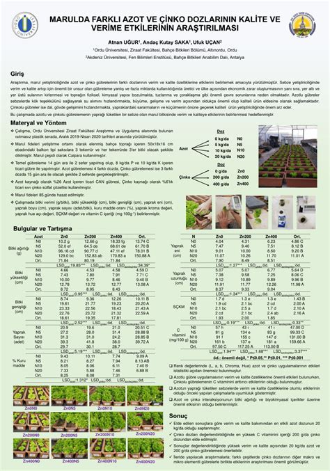 Pdf The Effects Of Different Nitrogen And Zinc Doses On Quality And Yield In Lettuce