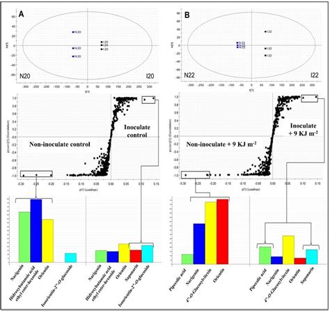 Orthogonal Partial Least Squares Discriminant Analysis Opls Da