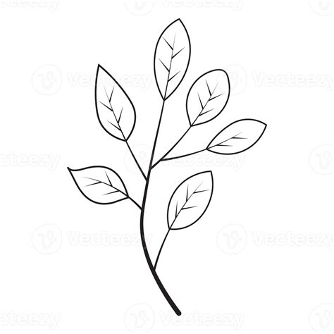 Elliptic Leaf Flower Graphic Sketch Drawing Outline Style 26830752 Png Elliptic Leaf Flower Graphic Sketch Drawing Outline Style 26830752 Png