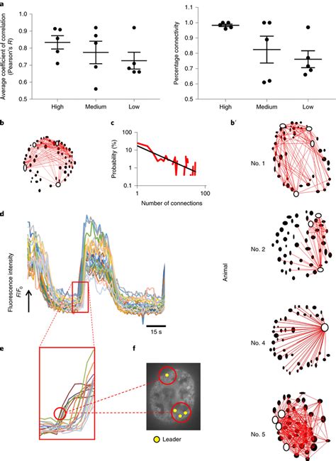 Binarized And Granger Causality Analysis Corroborate The Existence Of Download Scientific