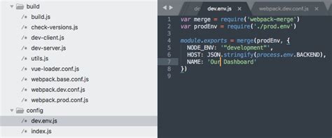 Javascript Passing Environment Envariables Inside Webpack