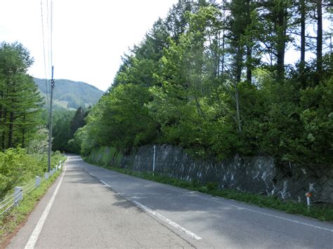 斑尾の売り土地 緑豊かな県道97号信濃斑尾高原線沿いの土地 ライフステージ長野 不動産