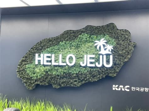 6개월아기랑제주도여행 아기랑여행준비물 및 청주공항 수유실 및 제주공항 도착후기 And우진해장국 And시판이유식 네이버 블로그