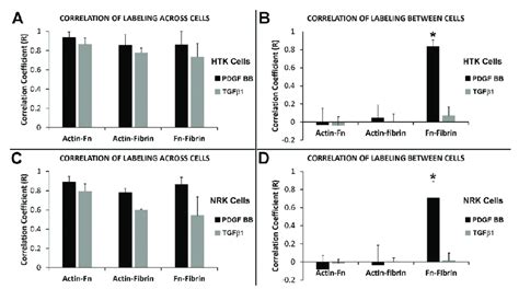 Correlation Between Actin Fibrin And Fibronectin Patterning Htk Cells Download Scientific