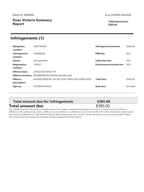 Fines Victoria Summary Report Pdf Fines Victoria Summary Report Pdf
