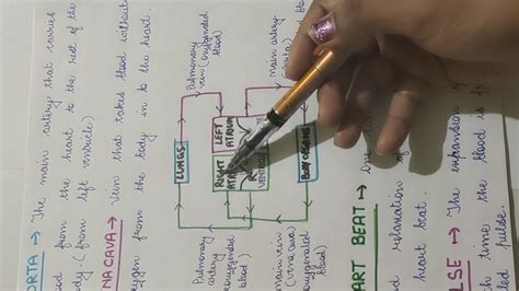 Class X Science Biologychapter1lecture7 Youtube