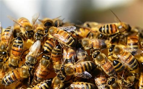 Writing Custom Hive Udf And Udaf