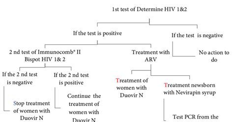 Algorithm Of Hiv Test And Arv Treatment In The Room Birth Download Scientific Diagram