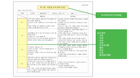 The Special 미국에서 경험한 개별화교육계획