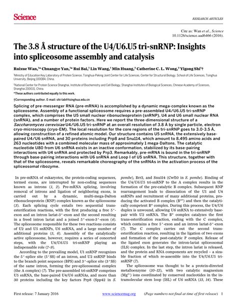 Pdf The 3 8 A Structure Of The U4 U6 U5 Tri Snrnp Insights Into Spliceosome Assembly And