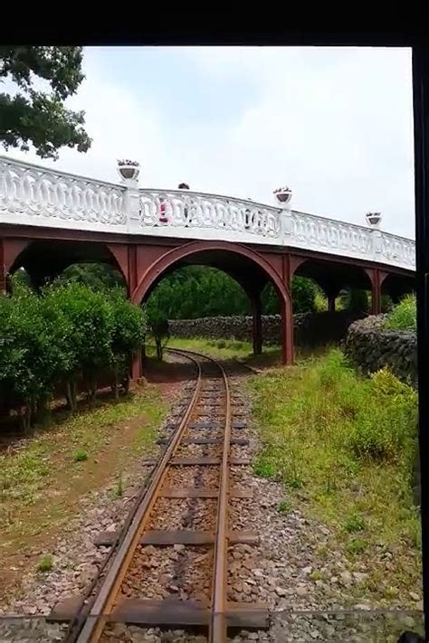 제주 에코랜드 기차 Youtube