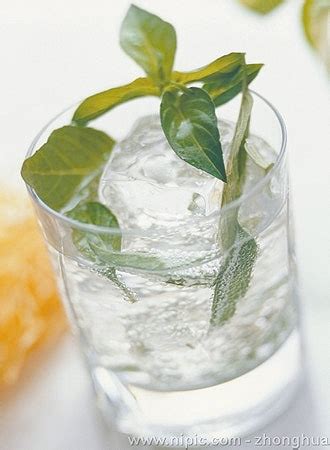 夏日8款饮品 消暑又减肥 启东日报