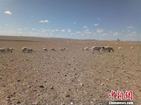 内蒙古遇1961年以来最热春季 局地已形成特大旱情内蒙古旱情干旱新浪科技新浪网
