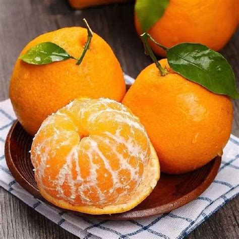 12 9，四川春见耙耙柑 中果5 6斤 最新线报活动 教程攻略 0818团