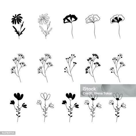 꽃 요소와 꽃 나뭇 가지와 나뭇잎이 설정됩니다 꽃의 벡터 실루엣 0명에 대한 스톡 벡터 아트 및 기타 이미지 0명 검은색 국화 Istock