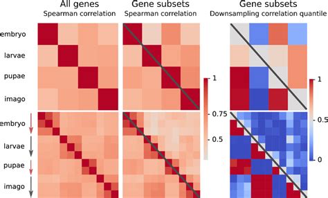 Pairwise Correlation Analysis For O Furnacalis Top And T Castaneum Download Scientific