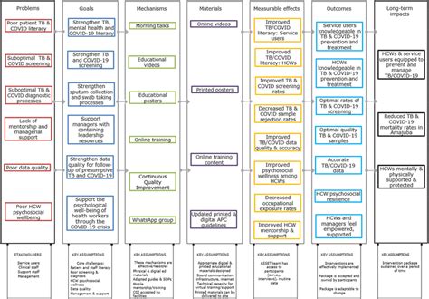 Toc Map For The Integration And Strengthening Of Covid 19 And Tb