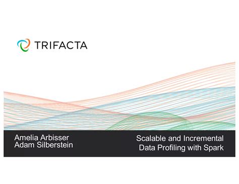 Scalable And Incremental Data Profiling With Spark Ppt