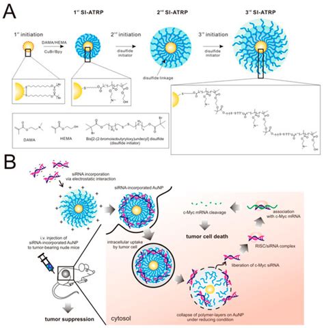 Materials Special Issue Atom Transfer Radical Polymerization Atrp In Synthesis Of