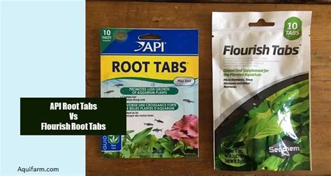 Api Root Tabs Vs Flourish Root Tabs Which One To Choose