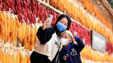 新华乡村振兴 新华网
