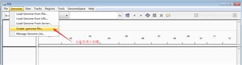 Chip Seq Dap Seq Atac Seq Cutandtag结果可视化 Igv使用攻略 知乎