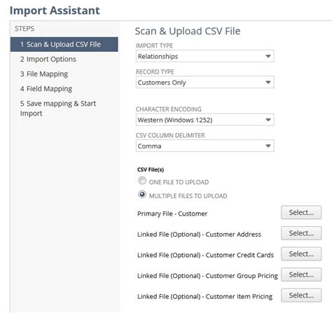 Mastering Netsuite Csv Imports Tips For Accurate Data Handling Brokenrubik
