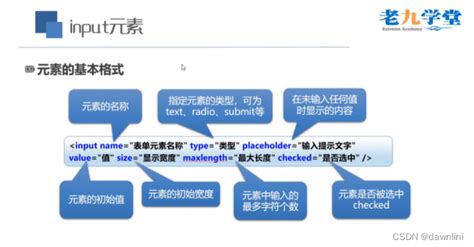表单元素详解 Csdn博客