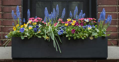 Window Box Making Bunnings Actcs Fortem Australia