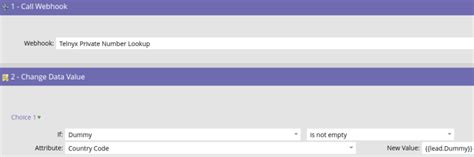 Marketo Webhook Guide With Examples The Workflow Pro