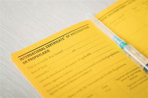 백신을 기록하기위한 문서의 국제 예방 접종 증명서 문서는 노란색입니다 외국인 여권과 테이블에 주사기 안전한 여행의 개념 0명에 대한 스톡 사진 및 기타 이미지 Istock