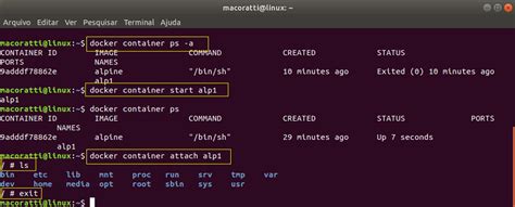 Docker Obtendo O Shell Bash Do Contêiner Em Execução