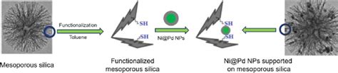 Preparation Of Nipd Nanocatalysts Supported On Mesoporous Silica Download Scientific Diagram