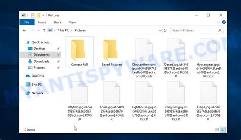 roger file extension remove virus restore decrypt roger files