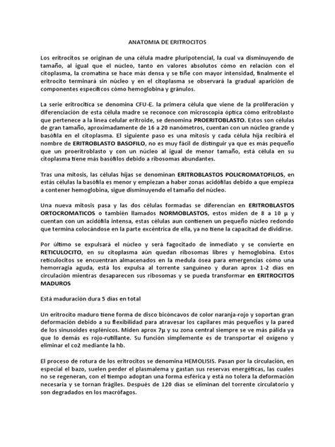 Anatomia De Eritrocitos Pdf