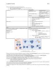 The Functions And Types Of Lymphocytes In The Lymphatic System Course Hero