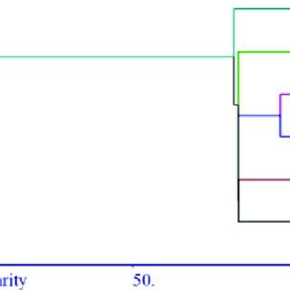 Bray Curtis Similarity Dendrogram Cluster Analysis Single Linkage