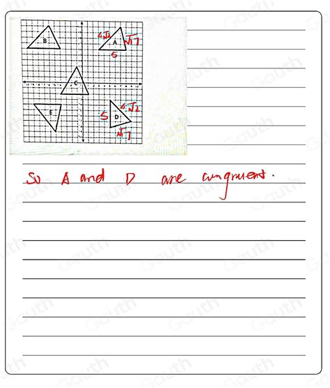 Solved Question 19 5 Points Identify The Congruent Figures Shown In The Coordinate Plane A