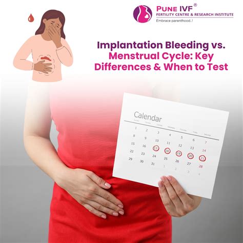 Implantation Bleeding Vs Period Know The Key Differences