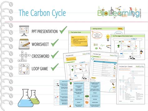 Carbon Cycle Game Worksheet Printable Calendars At A Glance