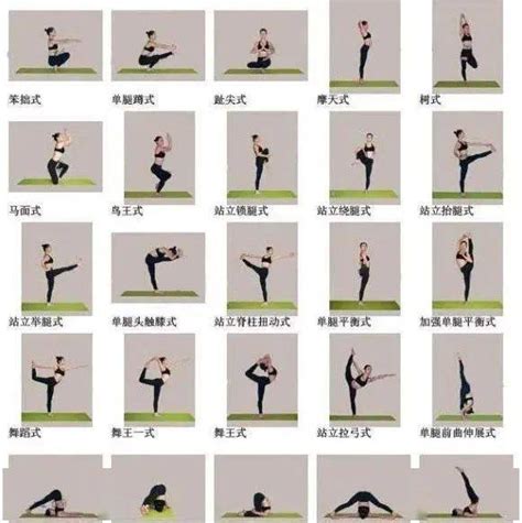 瑜伽体位图224式大全，值得永久收藏，拿去不谢！pada