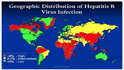 Viral Hepatitis B Pptx Infectious Diseases Diseases And Conditions